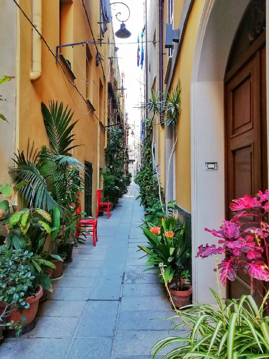 Via Stretta and the Old town :: Casa Flora